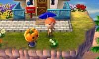 Jack/Gallery | Animal Crossing Wiki | Fandom
