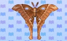 Oak silk moth | Animal Crossing Wiki | Fandom