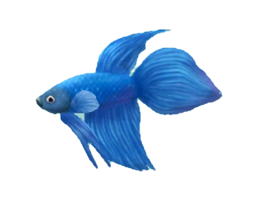 Betta | Animal Crossing Wiki | Fandom