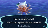 Spider crab | Animal Crossing Wiki | Fandom