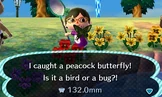Peacock butterfly | Animal Crossing Wiki | Fandom