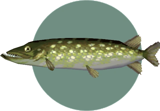 Pike/Gallery | Animal Crossing Wiki | Fandom