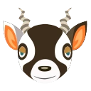 Zell/Gallery | Animal Crossing Wiki | Fandom