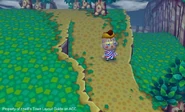 Ramp | Animal Crossing Wiki | Fandom