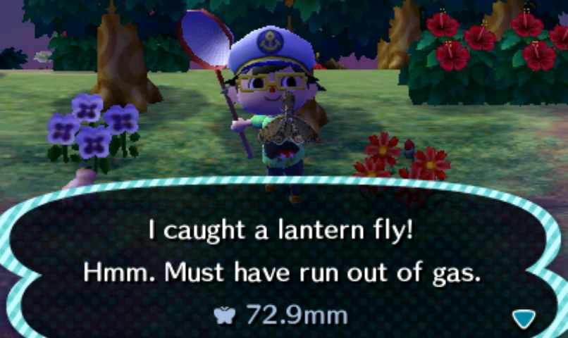 Lantern fly/Gallery | Animal Crossing Wiki | Fandom