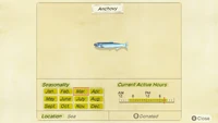 Anchovy (fish) | Animal Crossing Wiki | Fandom