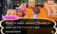 Fuchsia/Gallery | Animal Crossing Wiki | Fandom