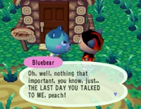 Bluebear/Gallery | Animal Crossing Wiki | Fandom