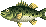 Sea bass/Gallery | Animal Crossing Wiki | Fandom