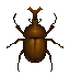 Horned dynastid | Animal Crossing Wiki | Fandom