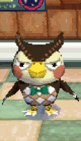 Blathers/Gallery | Animal Crossing Wiki | Fandom