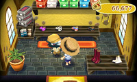 Kicks/Gallery | Animal Crossing Wiki | Fandom