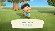 Bell | Animal Crossing Wiki | Fandom