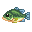 Small bass/Gallery | Animal Crossing Wiki | Fandom