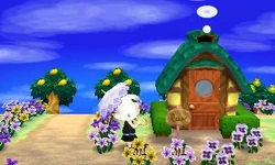 Henry | Animal Crossing Wiki | Fandom