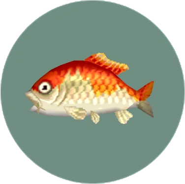 Koi/Gallery | Animal Crossing Wiki | Fandom