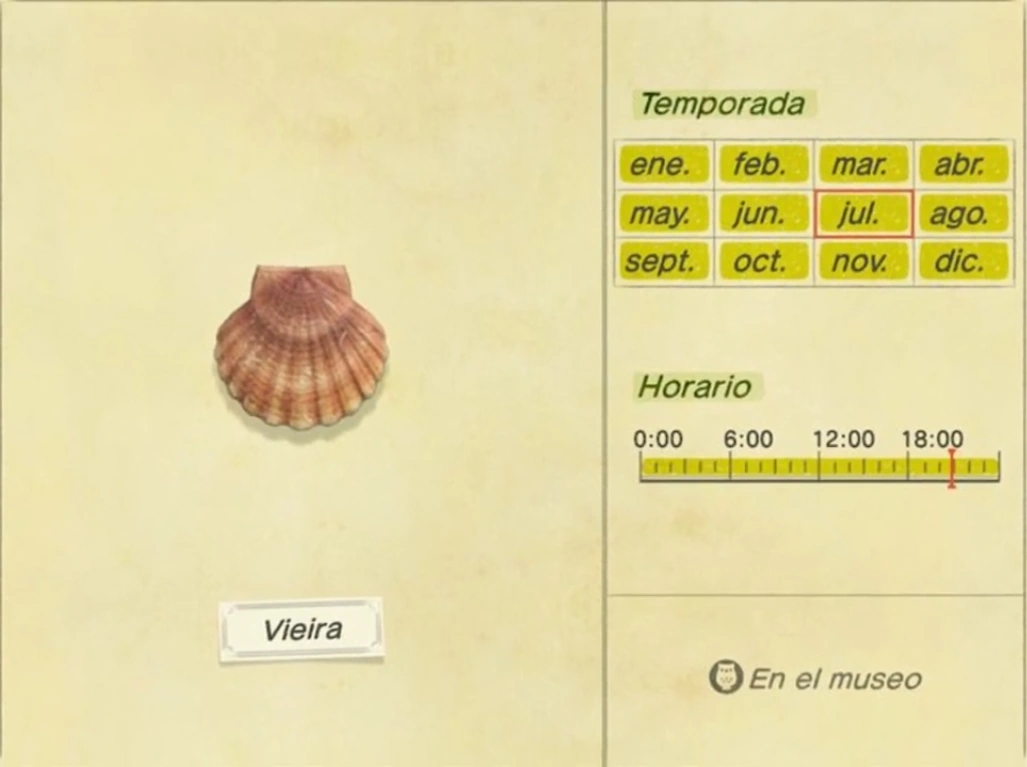 Anatomía De La Vieira