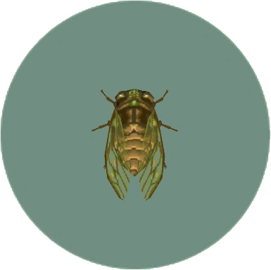Evening cicada/Gallery | Animal Crossing Wiki | Fandom