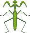 Mantis | Animal Crossing Wiki | Fandom
