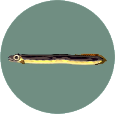 Eel/Gallery | Animal Crossing Wiki | Fandom