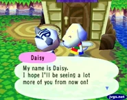 Daisy/Gallery | Animal Crossing Wiki | Fandom
