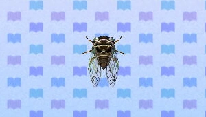 Giant cicada/Gallery | Animal Crossing Wiki | Fandom