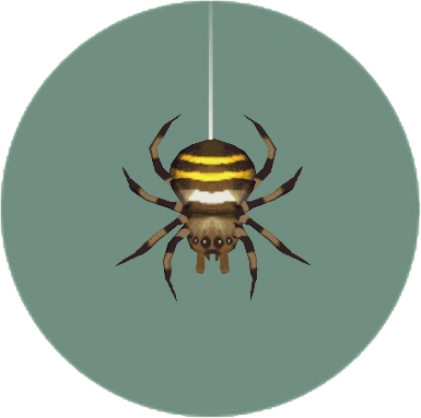 Spider/Gallery | Animal Crossing Wiki | Fandom