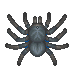 Tarantula | Animal Crossing Wiki | Fandom