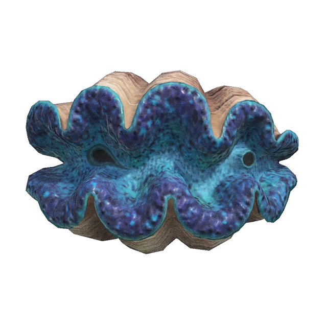 Bénitier colossal | Animal Crossing Wiki | Fandom