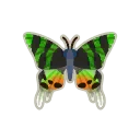 Madagascan sunset moth/Gallery | Animal Crossing Wiki | Fandom