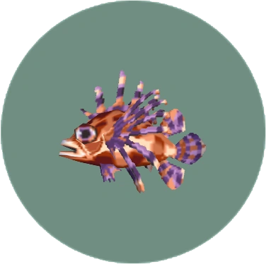 Zebra turkeyfish/Gallery | Animal Crossing Wiki | Fandom