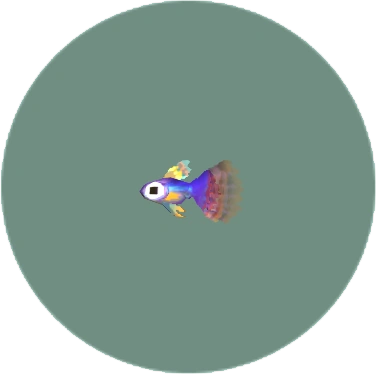 Category:Rare fish | Animal Crossing Wiki | Fandom