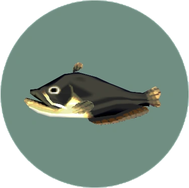 Catfish/Gallery | Animal Crossing Wiki | Fandom