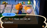 Bud/Gallery | Animal Crossing Wiki | Fandom