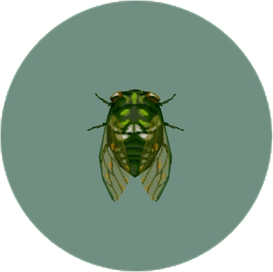 Robust cicada/Gallery | Animal Crossing Wiki | Fandom