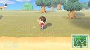Glowing spot | Animal Crossing Wiki | Fandom