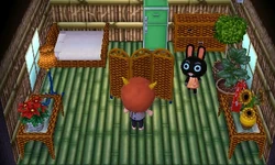 Cole | Animal Crossing Wiki | Fandom