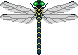 Banded dragonfly | Animal Crossing Wiki | Fandom