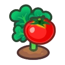 Tomato | Animal Crossing Wiki | Fandom