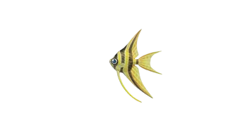 Angelfish | Animal Crossing Wiki | Fandom