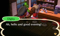 Digby/Gallery | Animal Crossing Wiki | Fandom