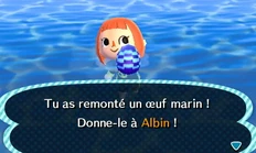 Albin | Animal Crossing Wiki | Fandom