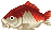 Koi/Gallery | Animal Crossing Wiki | Fandom