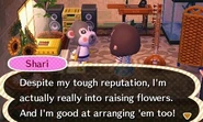 Shari/Gallery | Animal Crossing Wiki | Fandom