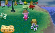 Special stump patterns | Animal Crossing Wiki | Fandom