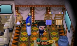 Campground | Animal Crossing Wiki | Fandom