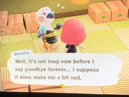 Moving | Animal Crossing Wiki | Fandom