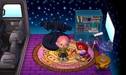 Campground | Animal Crossing Wiki | Fandom