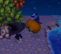 Jack/Gallery | Animal Crossing Wiki | Fandom