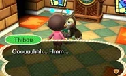 Thibou | Animal Crossing Wiki | Fandom